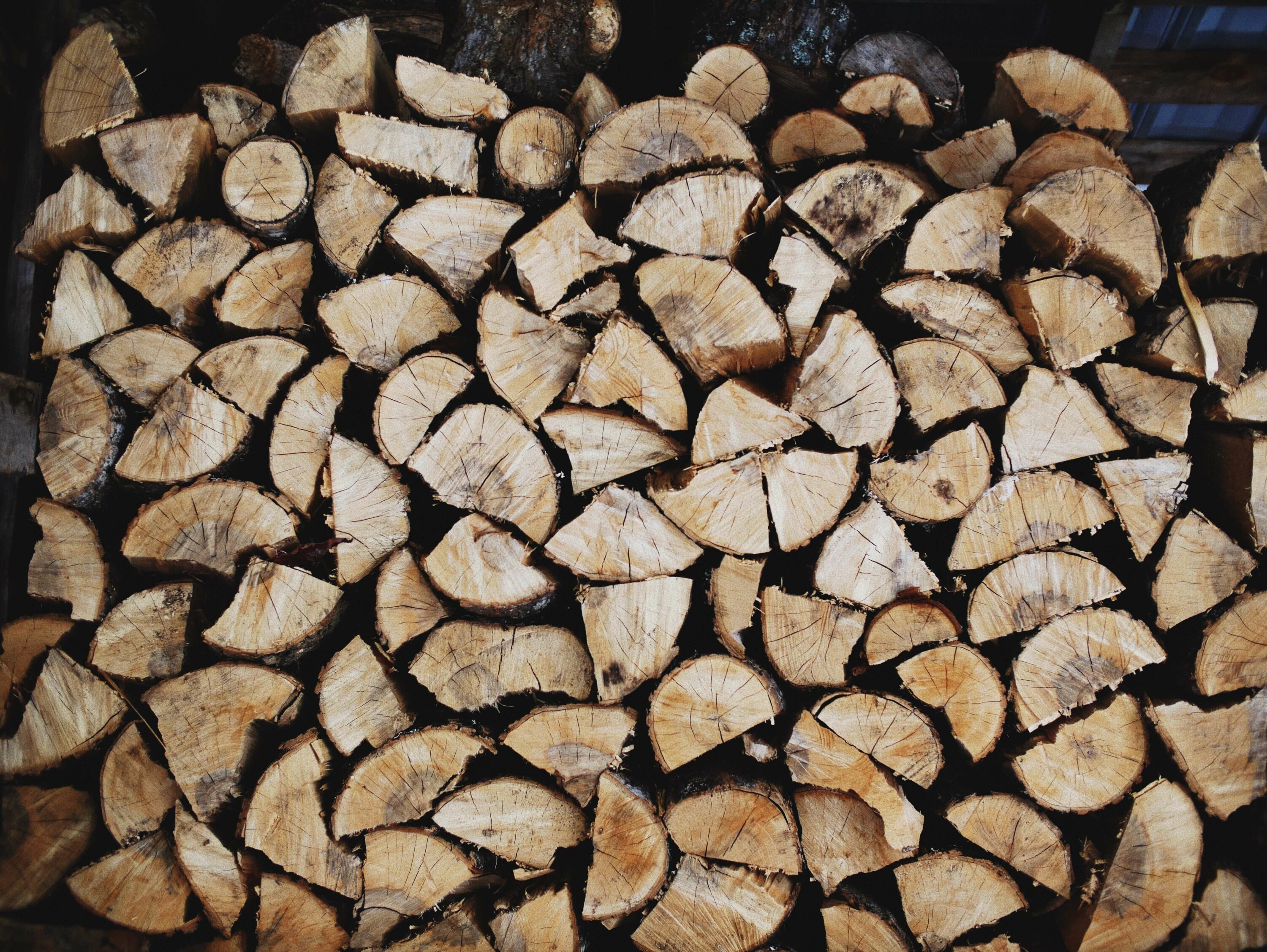 How to choose the best fire wood for log burners | One Home